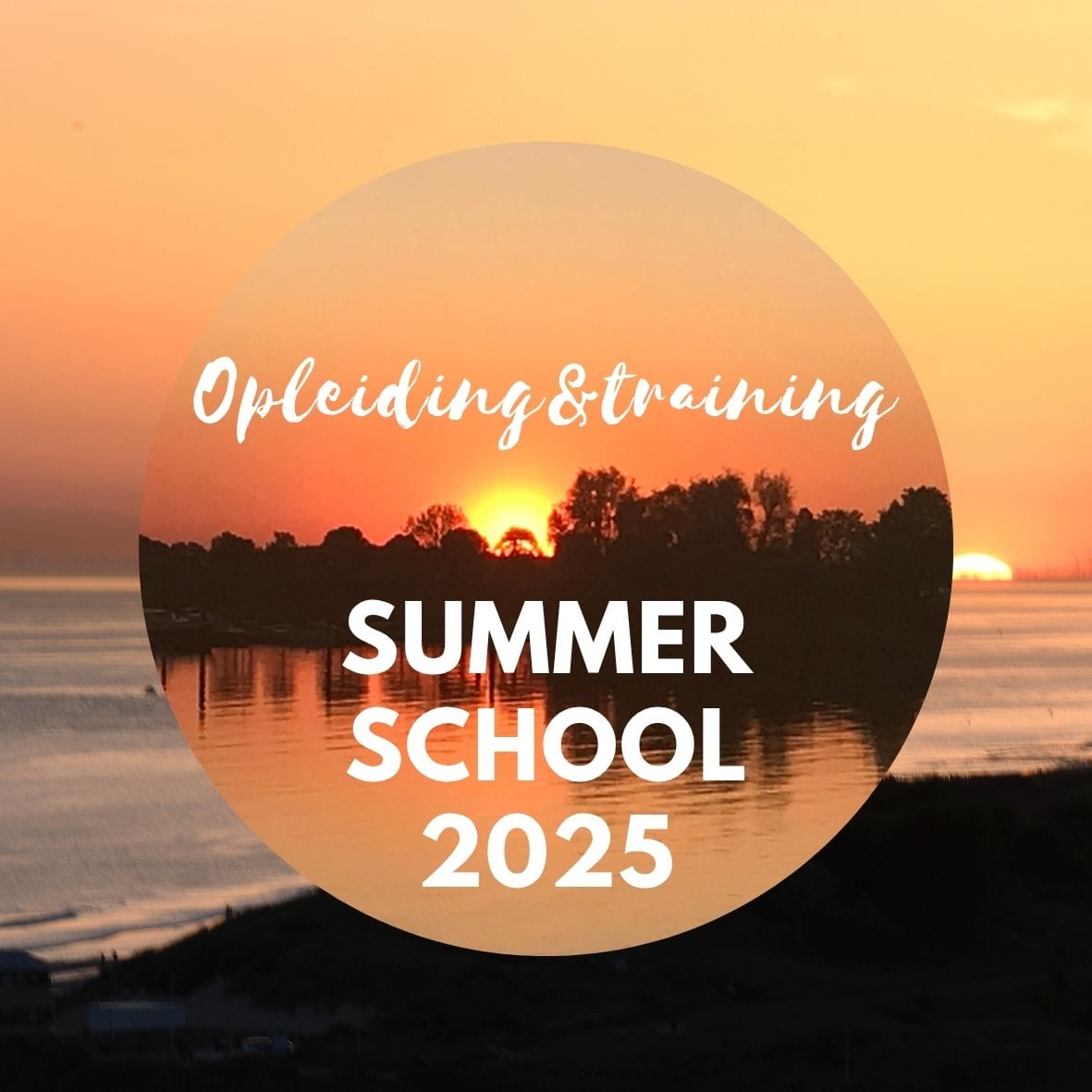 Opleiding & training Summerschool 2025 - Propulz.tP